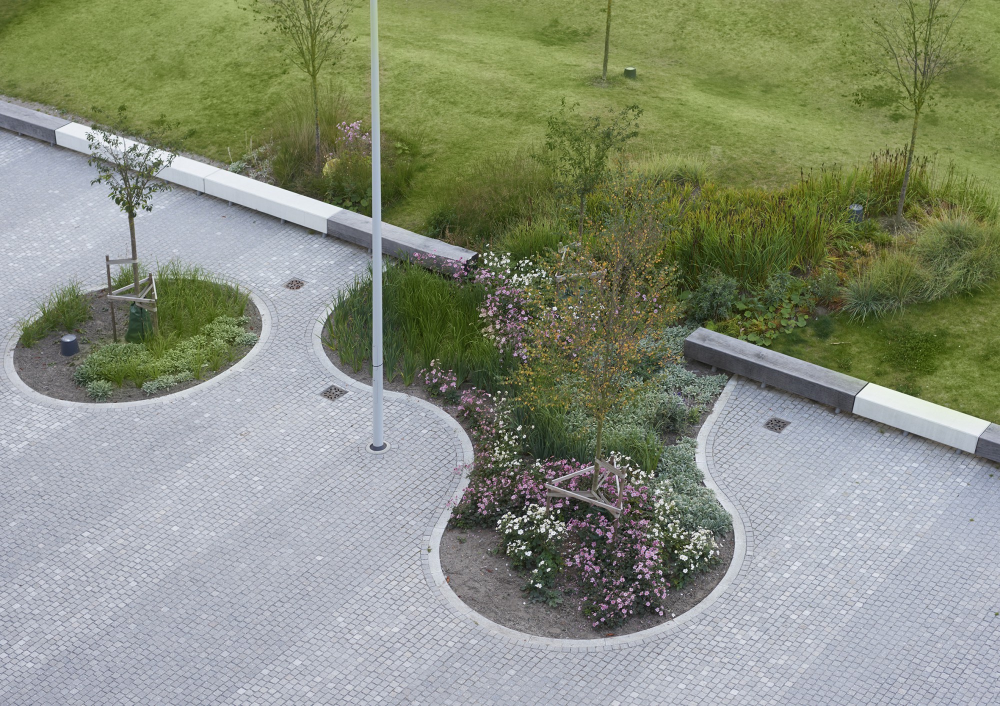 Spegeldammsparken - Nivå Landskapsarkitektur